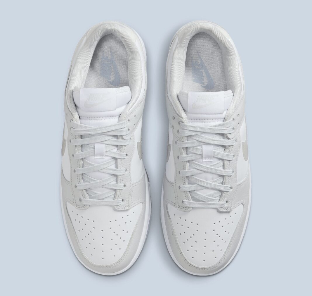 Nike Dunk Low Iridescent Swoosh HJ5787-001