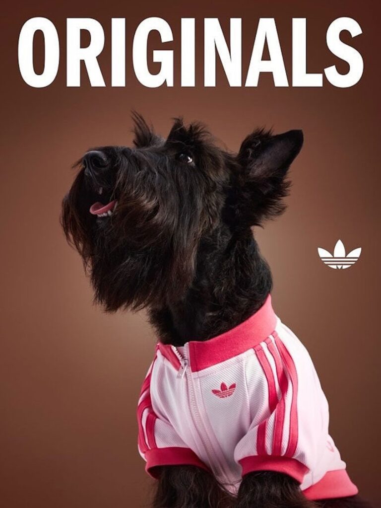 adidas Originals Pet Clothes 2025