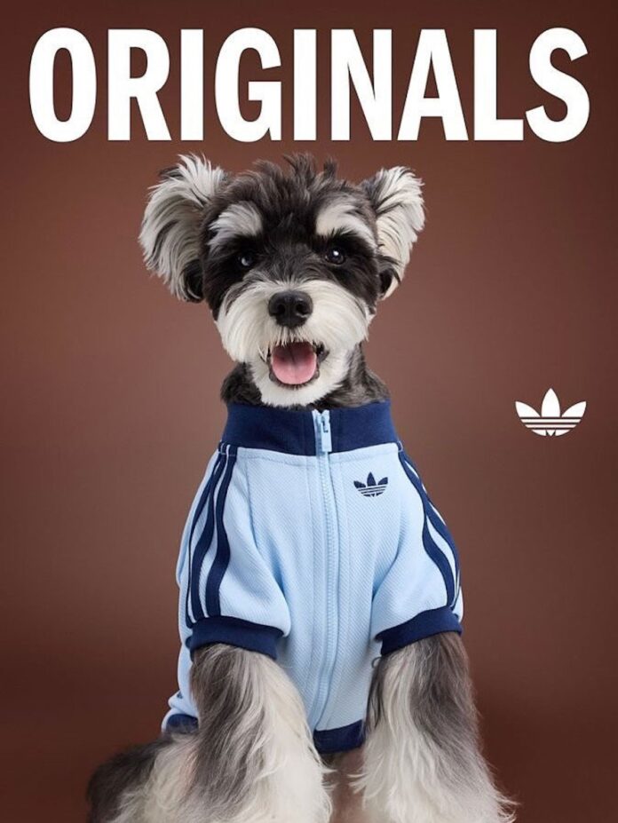 adidas Originals Pet Clothes 2025