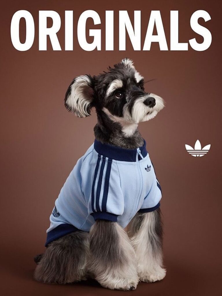 adidas Originals Pet Clothes 2025