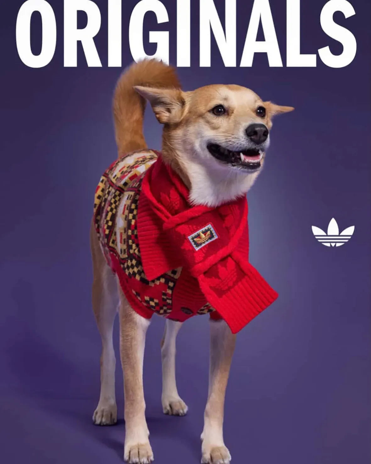 adidas Pet Collection Chinese New Year 2026