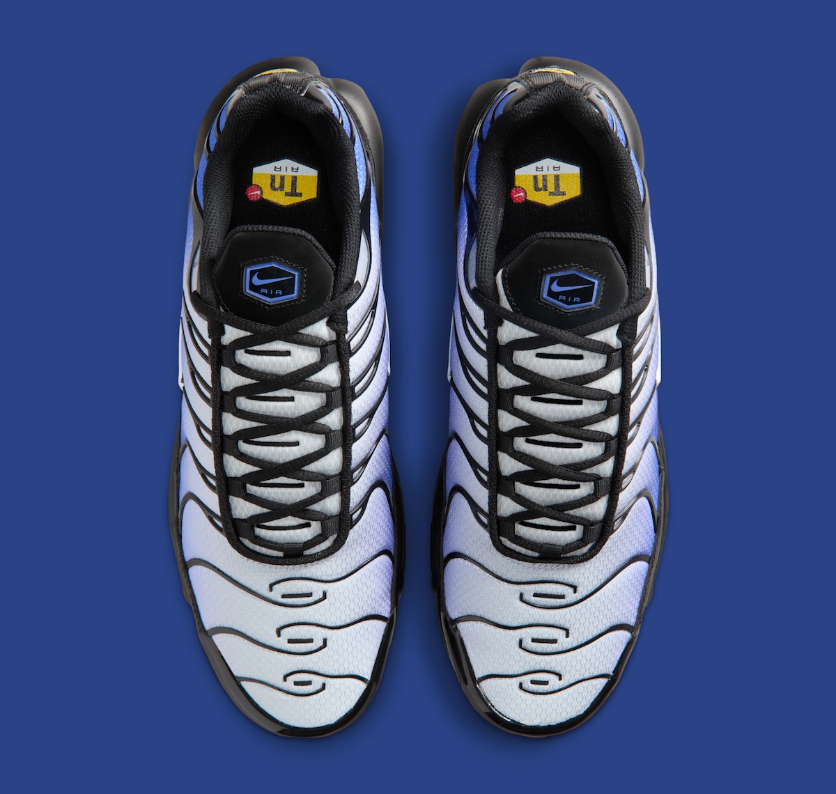 Nike Air Max Plus Black Sapphire DM0032-031