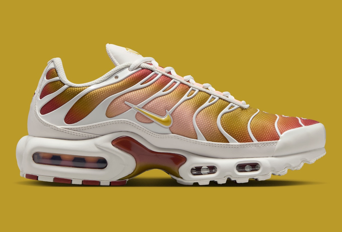 Nike Air Max Plus Rustic Orange DZ3670-007