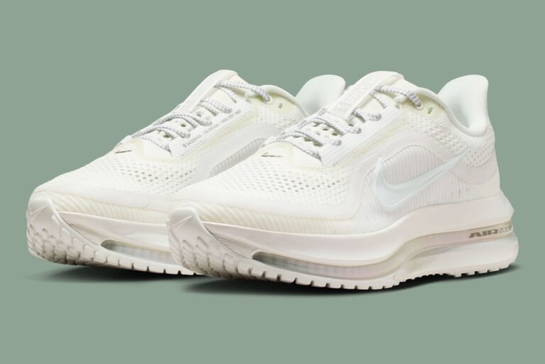 Nike Pegasus Premium Pure Platinum IO9918-100